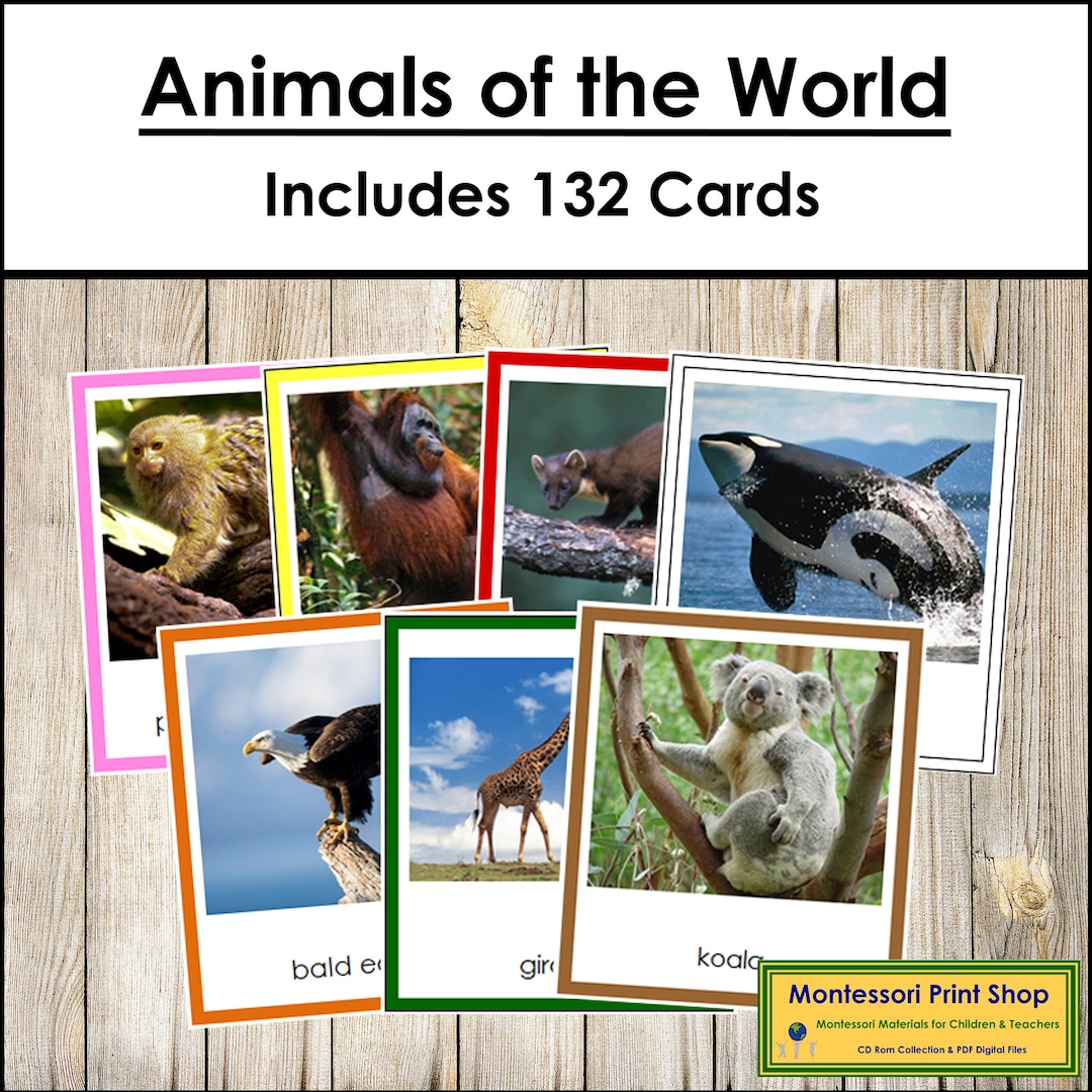 Animals of the World 3-part Cards Bundle [color-coded] - Montessori ...
