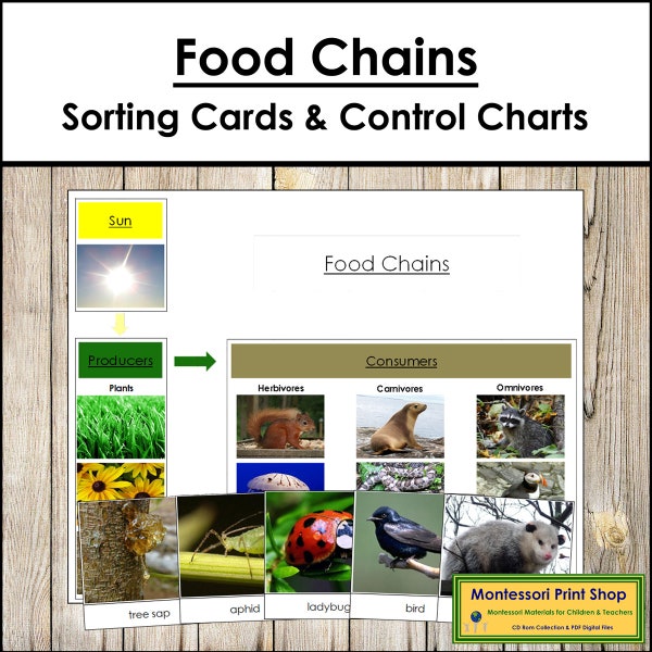Food Chain - Etsy