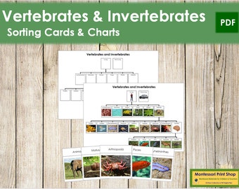 Vertebrates and Invertebrates Nomenclature Cards - Etsy