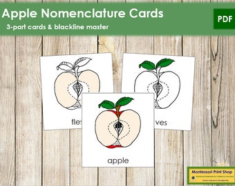Parts of a Plant Nomenclature 3-part Cards Montessori Botany | Etsy