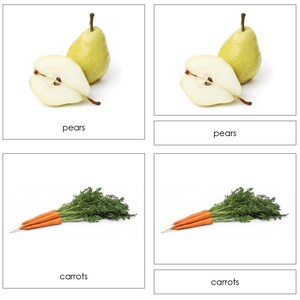 Fruits & Vegetables Safari TOOB Cards - Montessori 3-part Cards ...