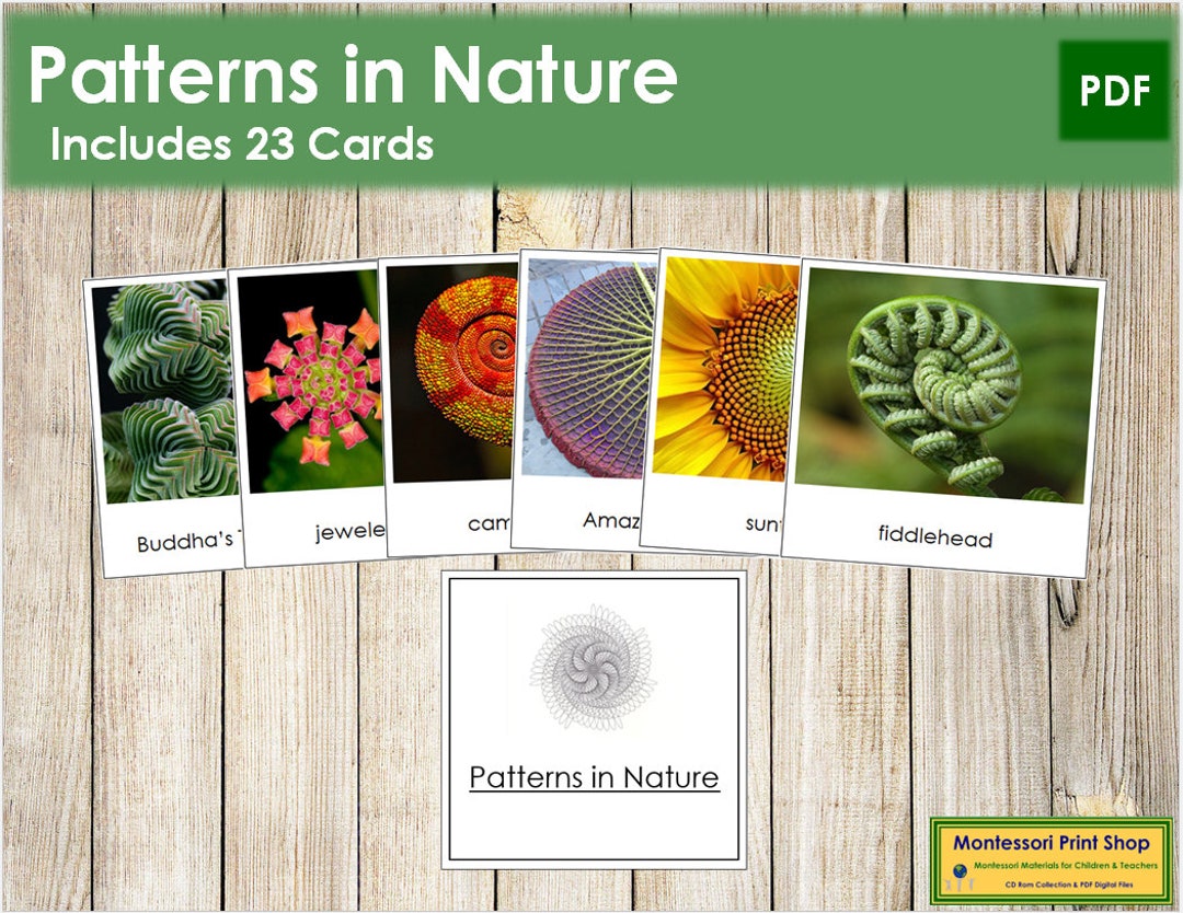 Patterns in Nature Picture Cards Geometry/science - Etsy