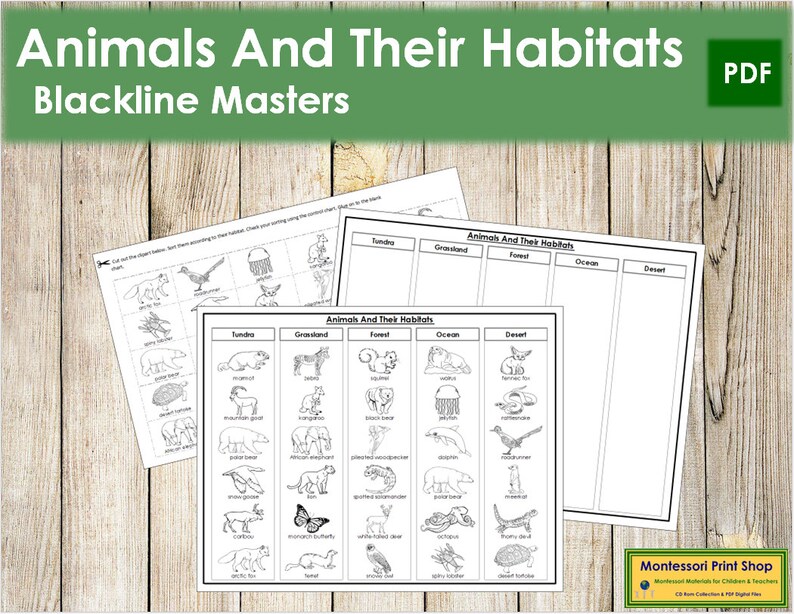 Animals and Their Habitats Blackline Masters Zoology - Etsy