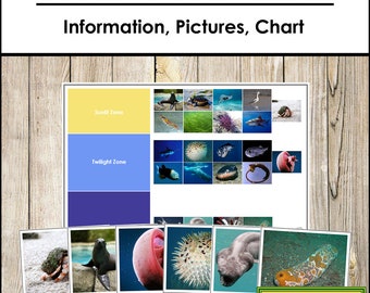 Ocean Animals Sorting Cards & Control Chart Zoology Printable ...