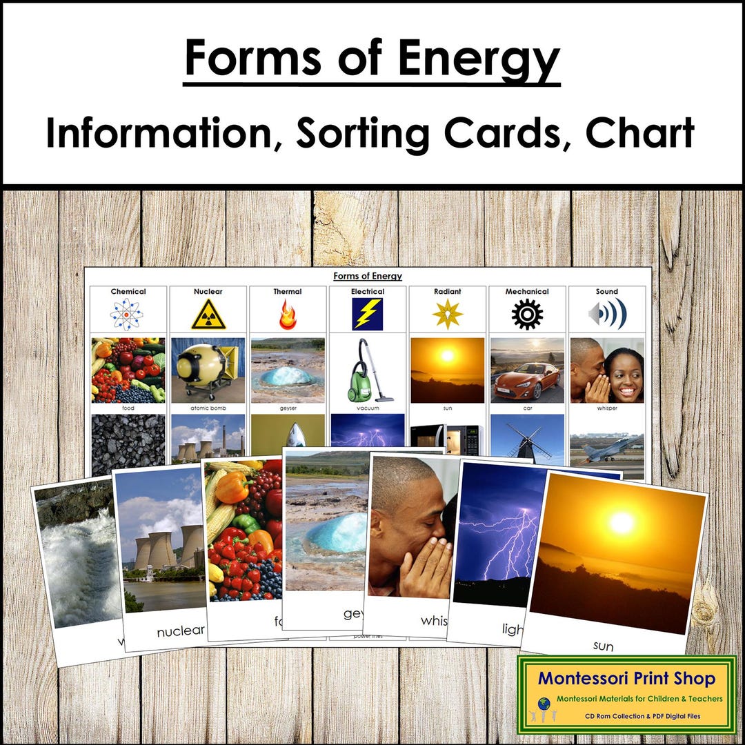 Forms of Energy Sorting Cards & Charts - Montessori Science Activity ...