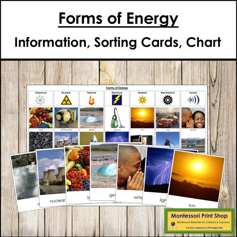 Forms of Energy Sorting Cards & Charts - Montessori Science Activity ...