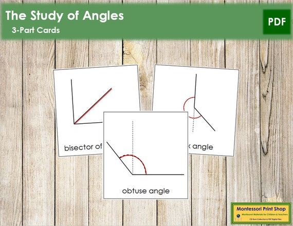 The Study of Angles Nomenclature 3-part Cards Geometry | Etsy