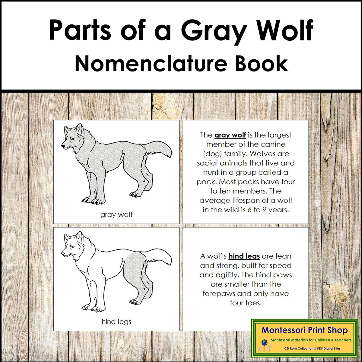 Parts of a Gray Wolf Nomenclature Book Montessori Zoology - Etsy