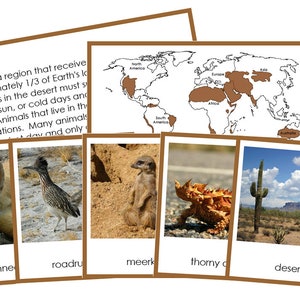 Animals and Their Habitats Sorting Cards, and Maps [color-coded ...
