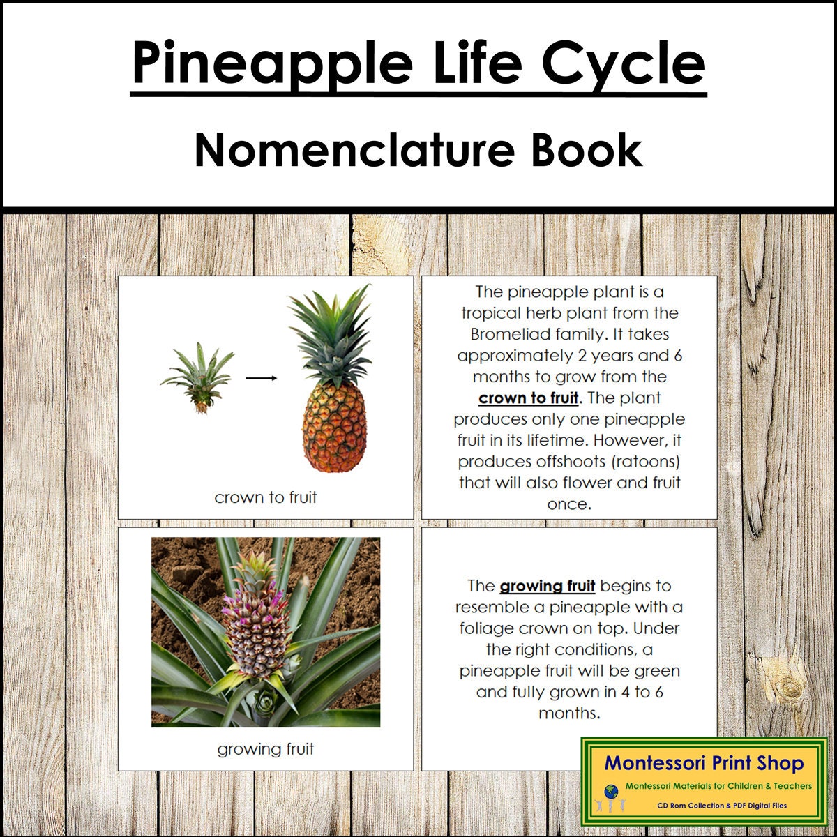 The Pineapple Life Cycle Book Montessori Nomenclature Printable ...