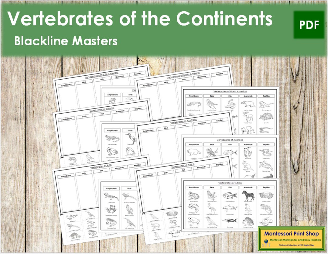 Vertebrates of the Continents Sorting Blackline Masters - Etsy