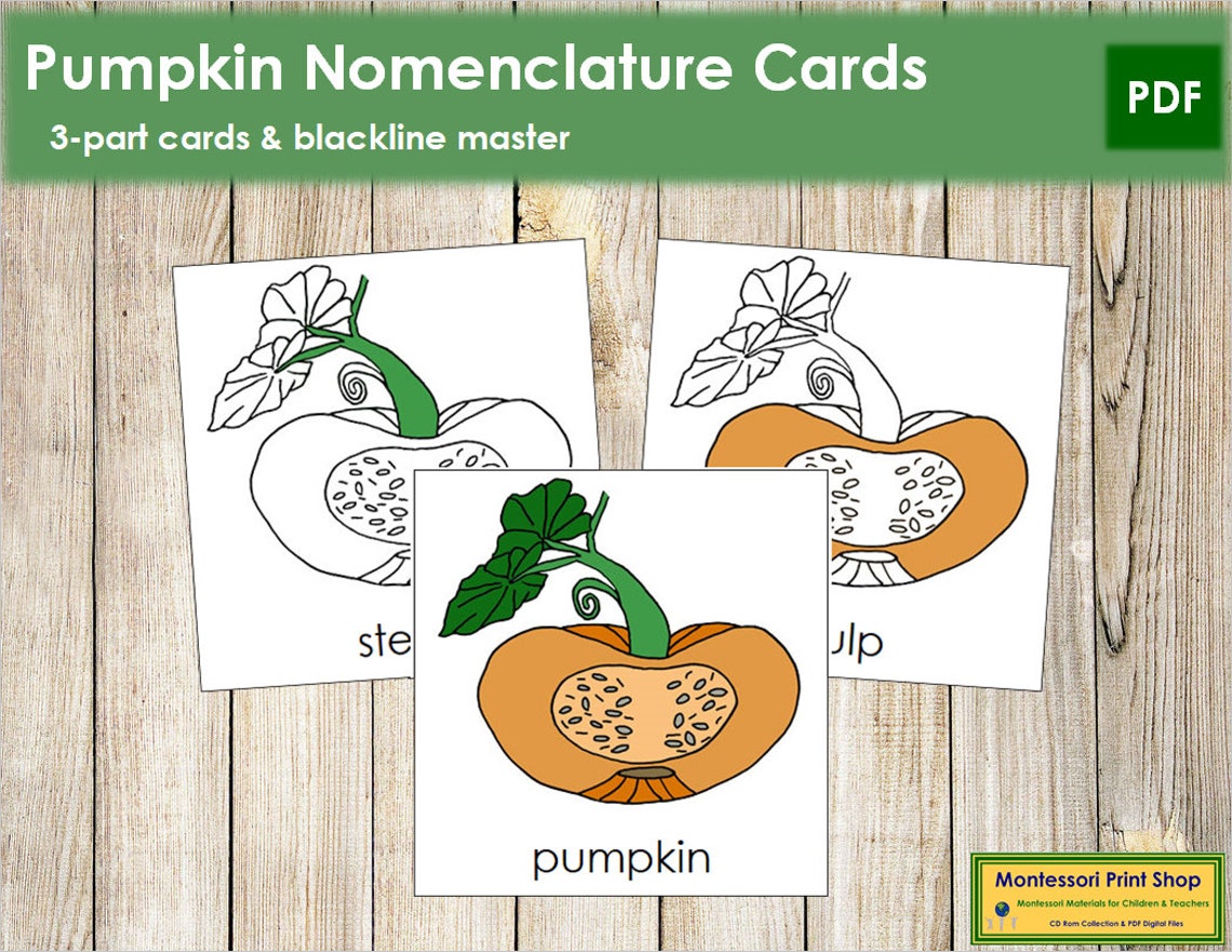 Parts of a Pumpkin Nomenclature 3-part Cards Montessori | Etsy