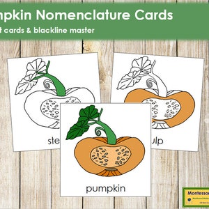 Parts of a Pumpkin Nomenclature 3-part Cards Montessori | Etsy