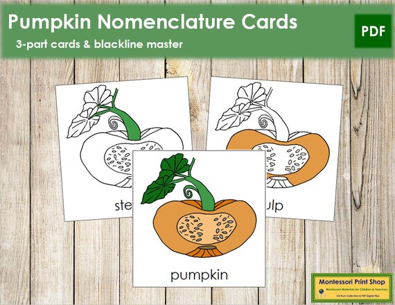 Parts of a Pumpkin Nomenclature 3-part Cards Montessori | Etsy