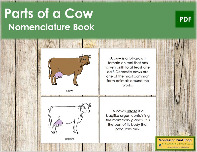 Parts of a Cow Nomenclature Book Montessori Zoology - Etsy
