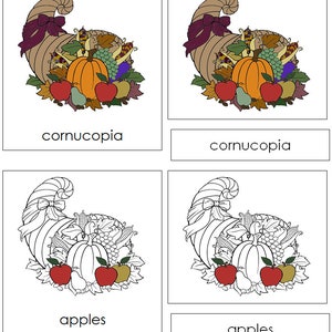 Parts of a Cornucopia Nomenclature 3-part Cards - Printable Montessori ...