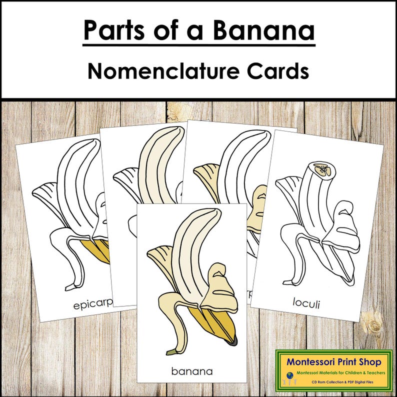 Parts of a Banana Nomenclature 3-part Cards & Blackline Master ...