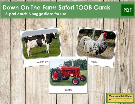 Down On The Farm Safari TOOB Cards Printable Montessori | Etsy