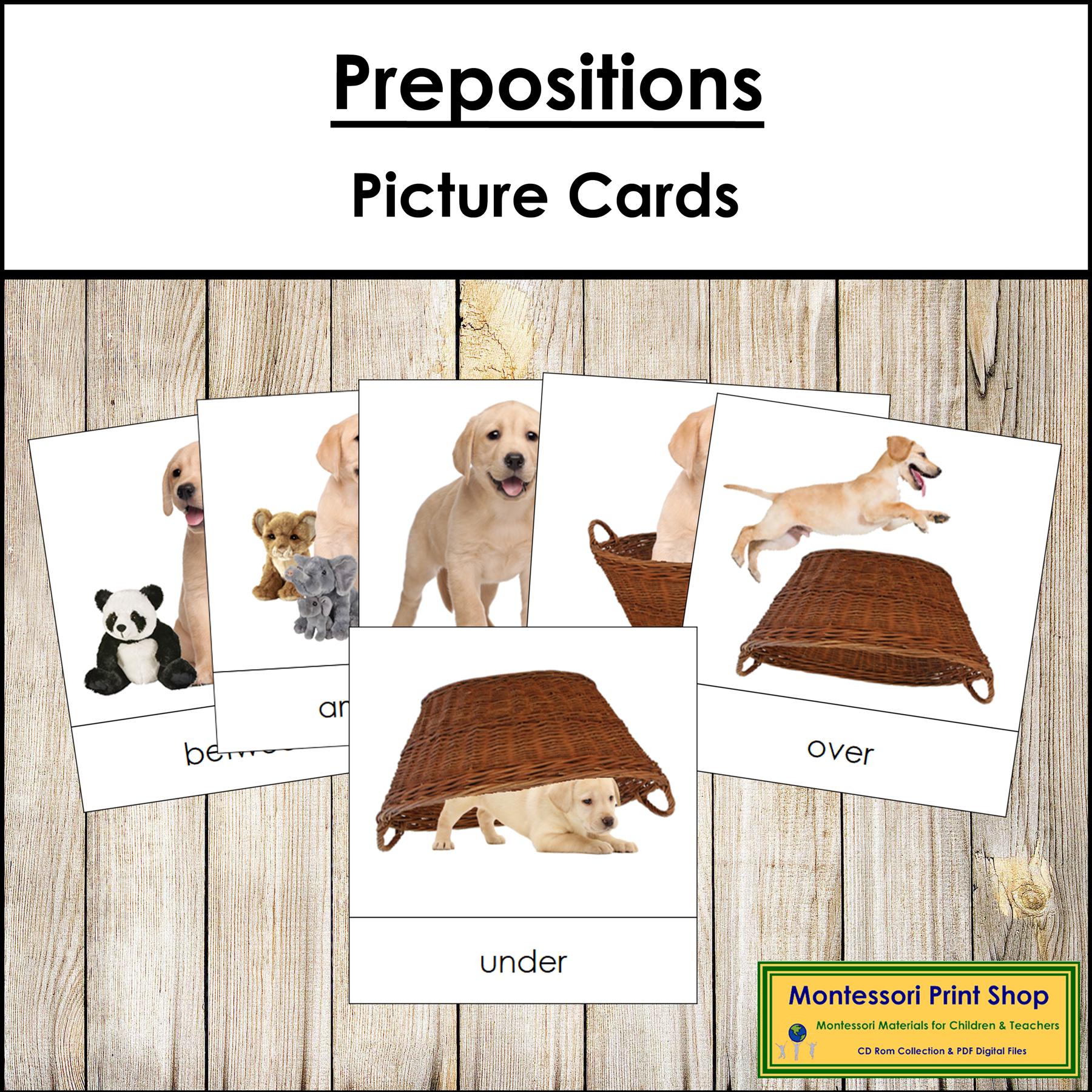Preposition Cards [dog-theme] - Montessori Grammar & Language (digital ...