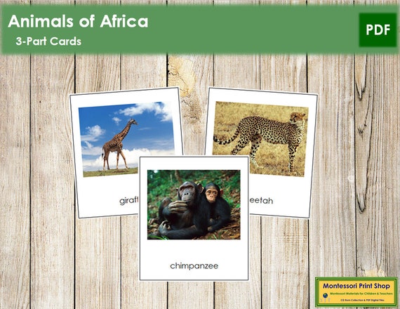 Animals of Africa Montessori Continent Cards Geography | Etsy