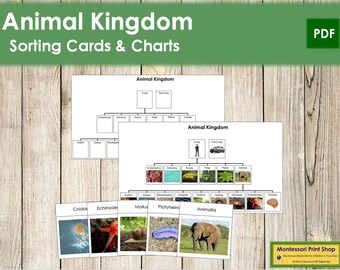 Montessori Animal Kingdom - Etsy