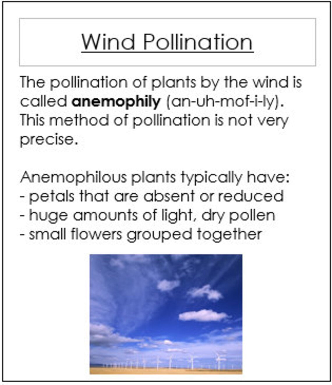 Pollination and Seed Dispersal Information & Photographs - Etsy