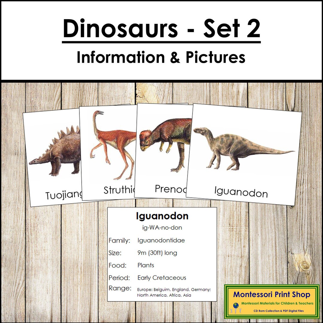 Dinosaur Cards Set 2 - Montessori Science & Zoology - Printable ...