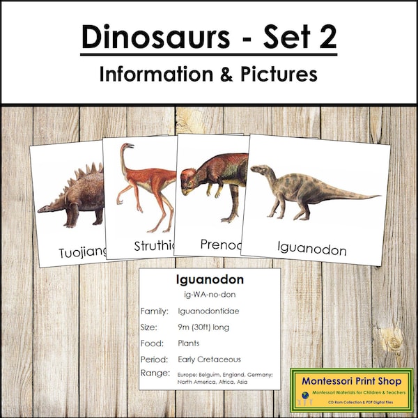 Dinosaur Cards - Etsy