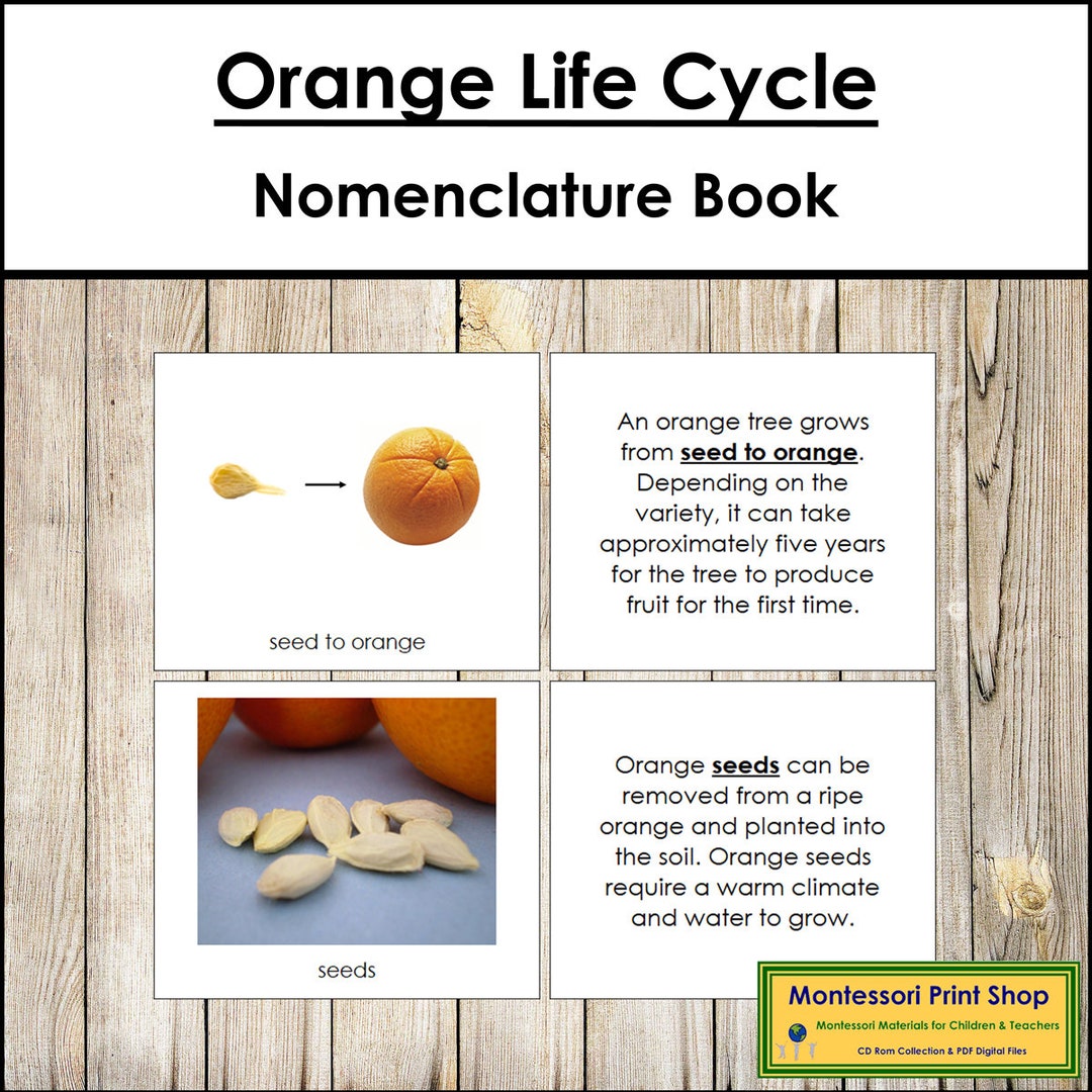 The Orange Life Cycle Book - Montessori Nomenclature - Printable ...