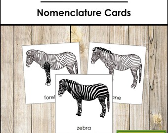 Montessori 3 Part Cards Parts of a Zebra - Etsy