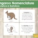 Parts of a Kangaroo Nomenclature Book Montessori Zoology - Etsy