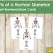 Parts of a Human Skeleton Nomenclature 3-part Cards Science - Etsy