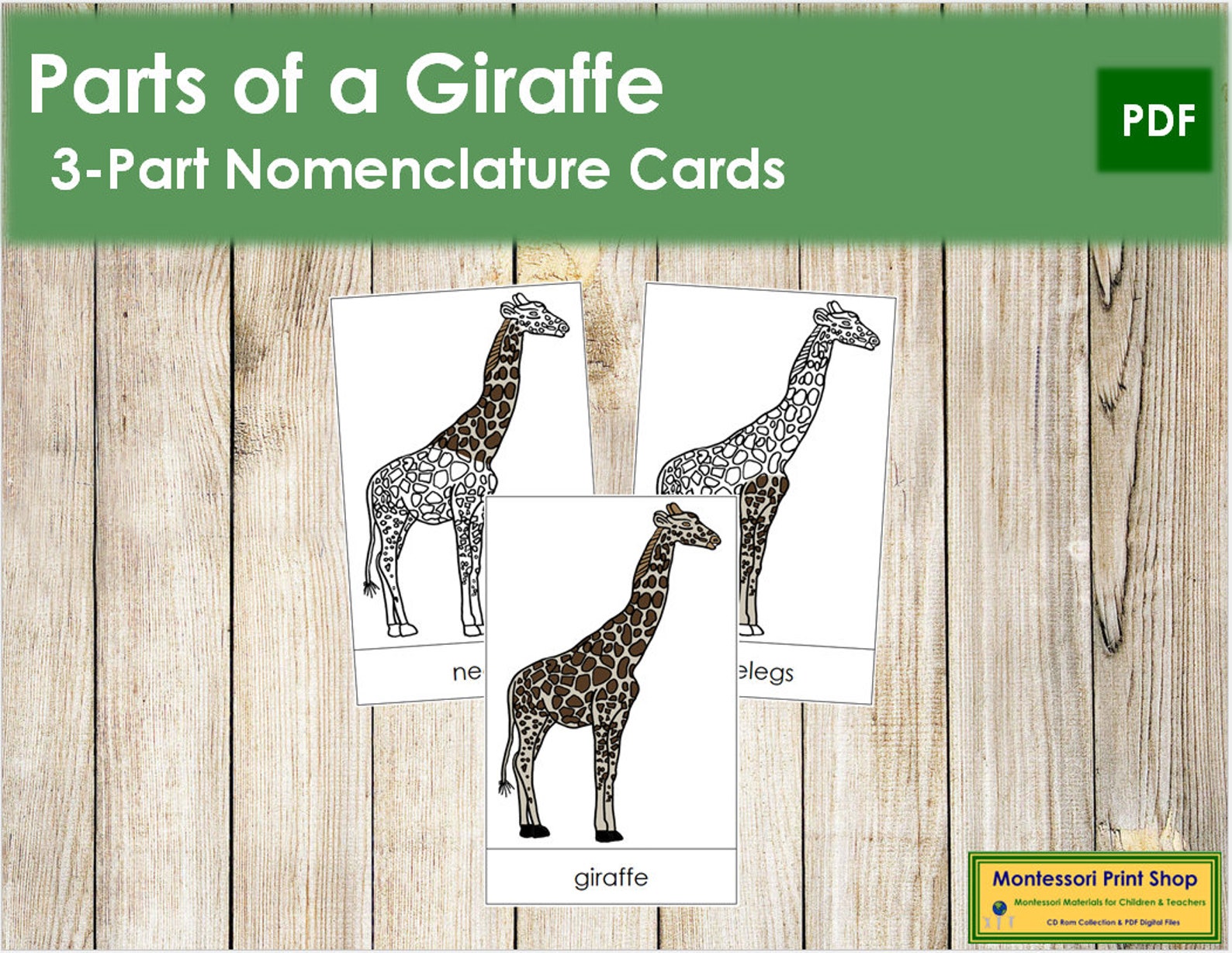 Parts of a Giraffe Nomenclature 3-part Cards Montessori - Etsy Canada