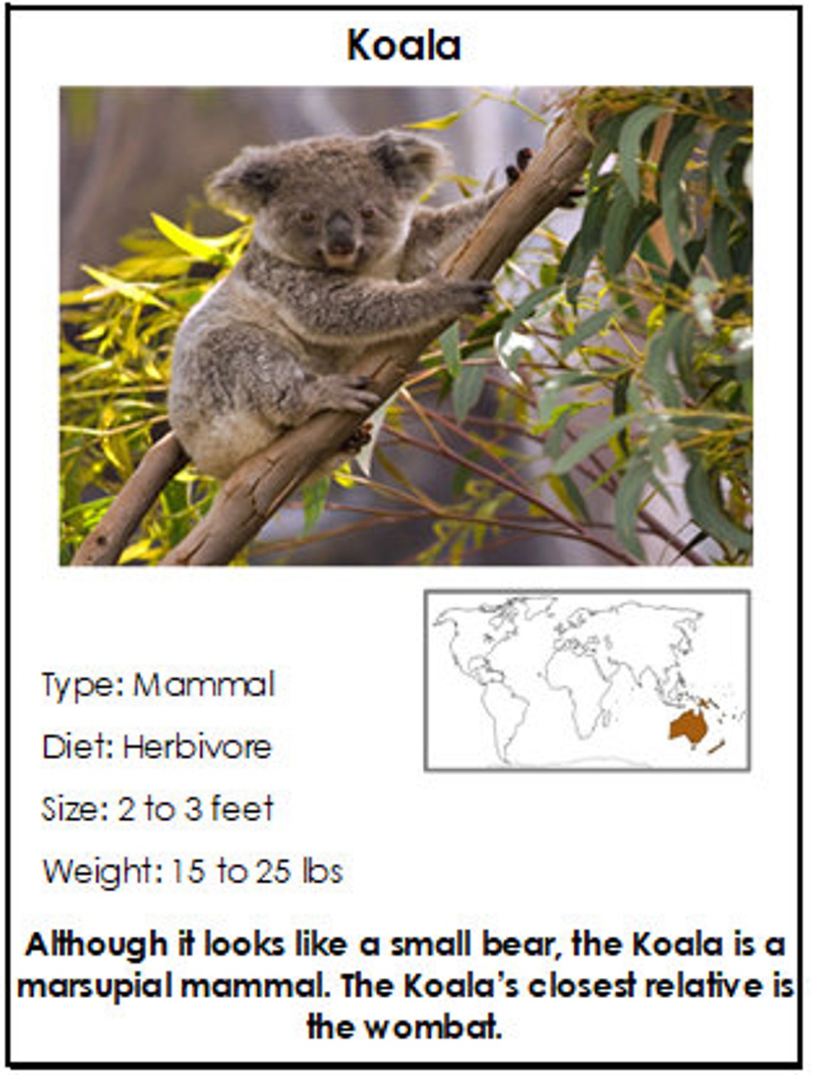 Montessori Animals of Australia/oceania Information Cards [facts ...
