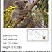 Montessori Animals of Australia/oceania Information Cards [facts ...
