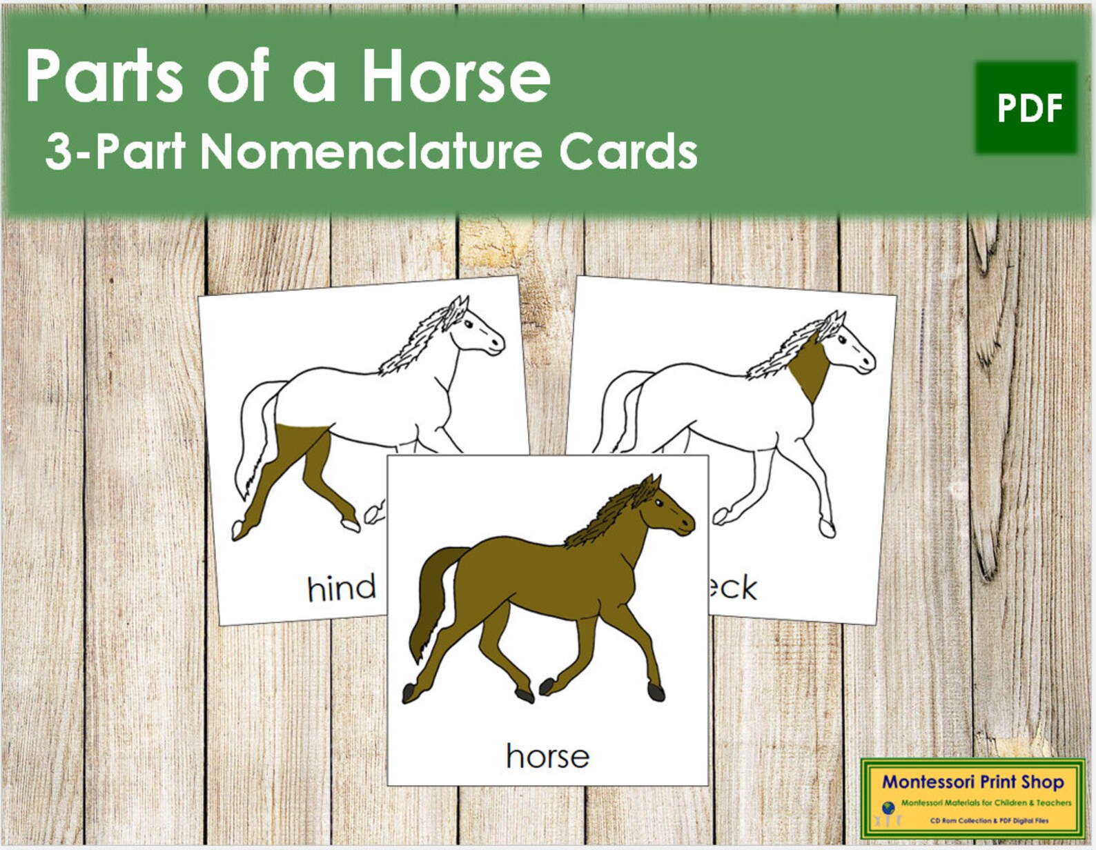 Parts of a Horse Nomenclature 3-part Cards Montessori - Etsy