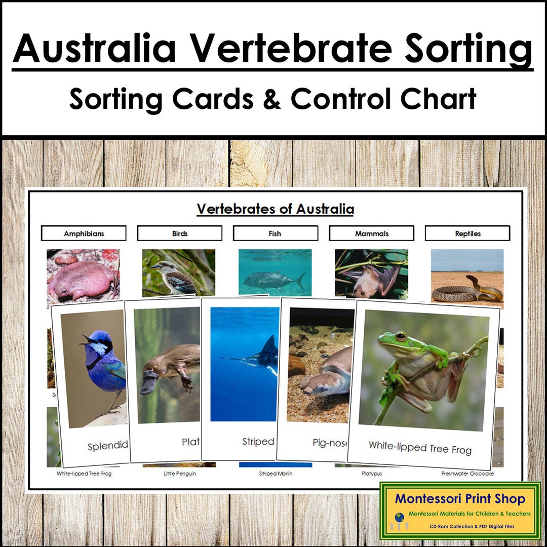 Montessori Vertebrates of Australia Sorting Cards & Chart - Animal ...
