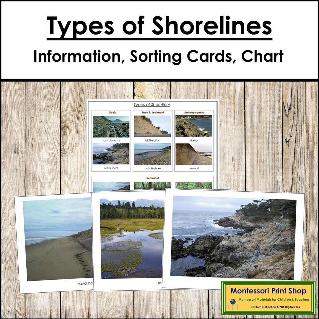 Types of Shorelines Information, Sorting Cards & Control Chart ...