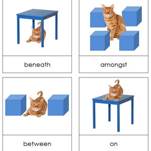 Preposition Cards [cat-theme] - Montessori Grammar & Language (digital ...