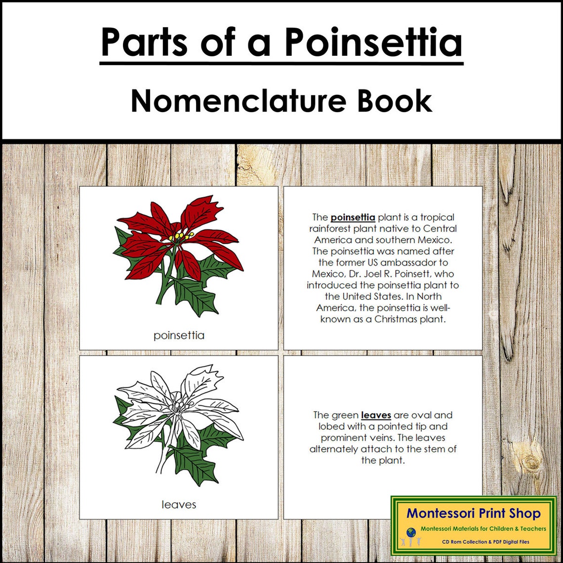 Parts of a Poinsettia Nomenclature Book - Montessori Botany (digital ...