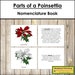 Parts of a Poinsettia Nomenclature Book Science Printable - Etsy