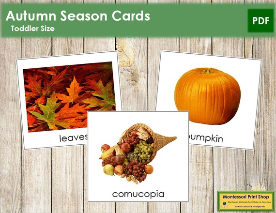 Autumn Season Cards Printable Toddler Montessori Materials | Etsy