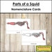 Parts of a Squid Nomenclature 3-part Cards & Blackline Master ...