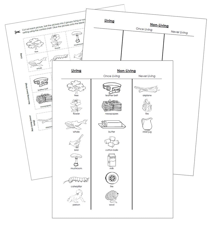 Living and Non-living Sorting Cut & Paste Activity [blackline Masters ...