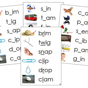 Step 2 Phonetic Language Series Bundle (PHOTOS) - Primary Language ...