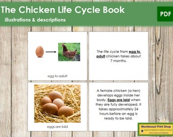 The Kangaroo Life Cycle Book Montessori Nomenclature | Etsy