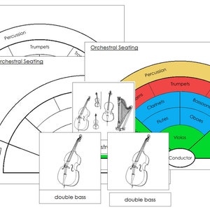 The Orchestra Instruments & Seating Chart - Music - Printable ...