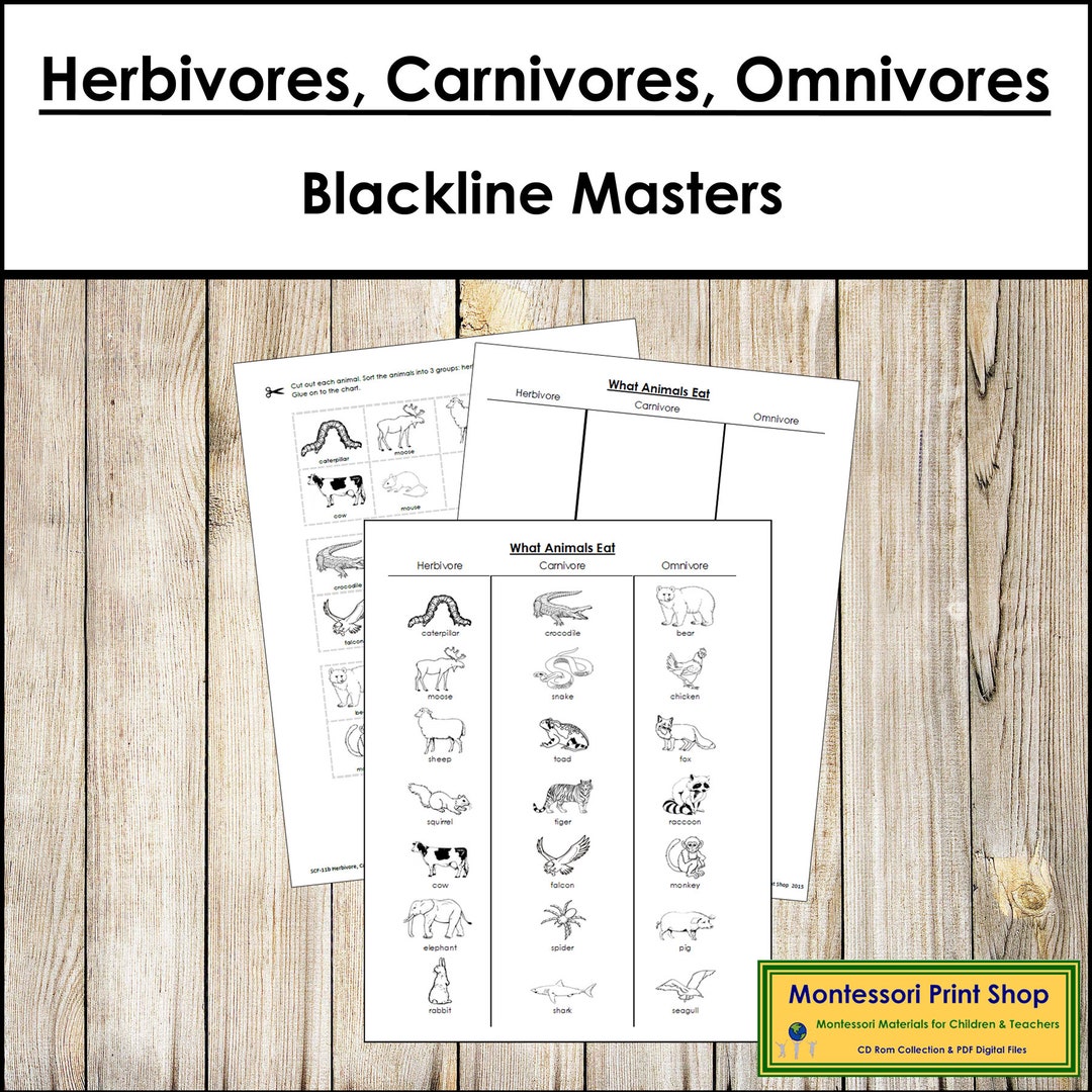 Herbivores, Carnivores and Omnivores Sorting Cut & Paste [blackline ...