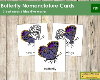 Parts of a Bird Nomenclature 3-part Cards Montessori Zoology | Etsy