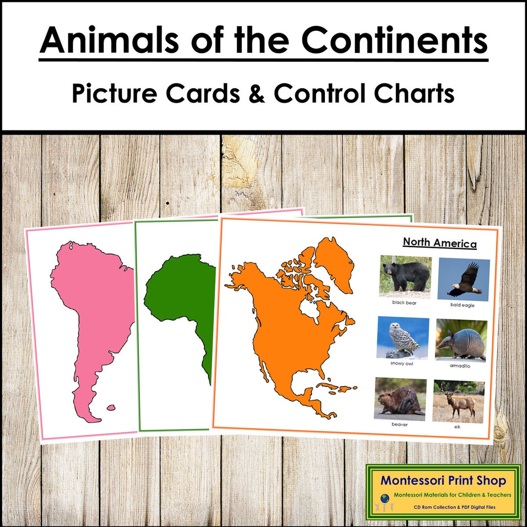 Animals of the Continents Sorting Activity Set 2 [color-coded ...
